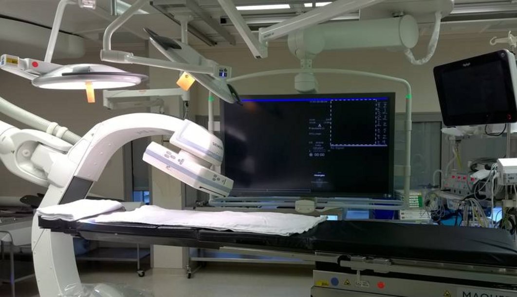 Aorta (Hauptschlagader) | Abteilung für Gefäßchirurgie ...