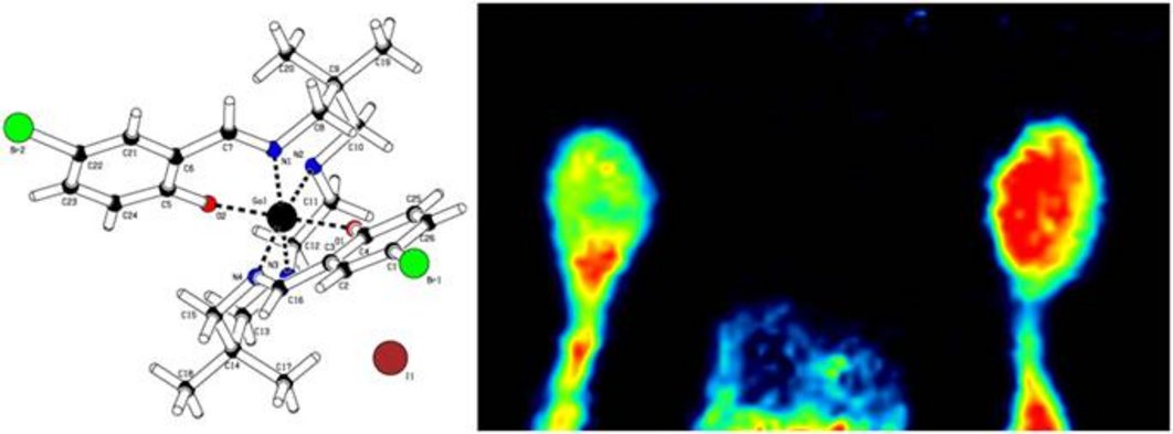 AG Thews | Julius-Bernstein-Institut für Physiologie ...